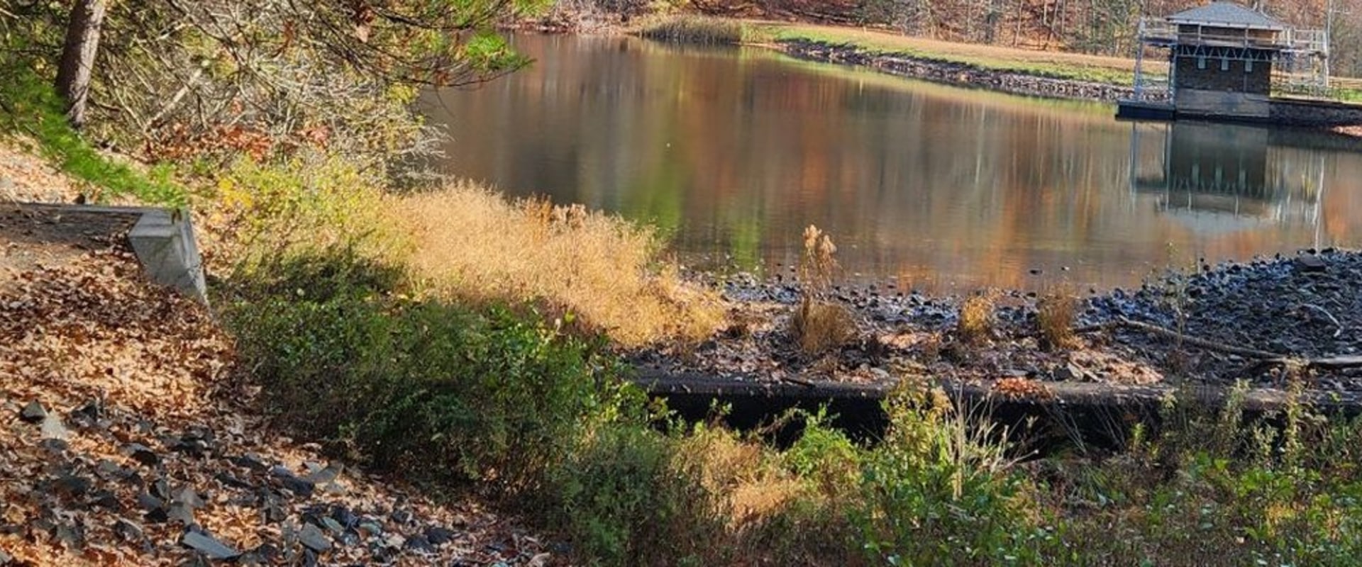 Uncovering the Hidden Gems of Hartford County, Connecticut: A Local's Guide